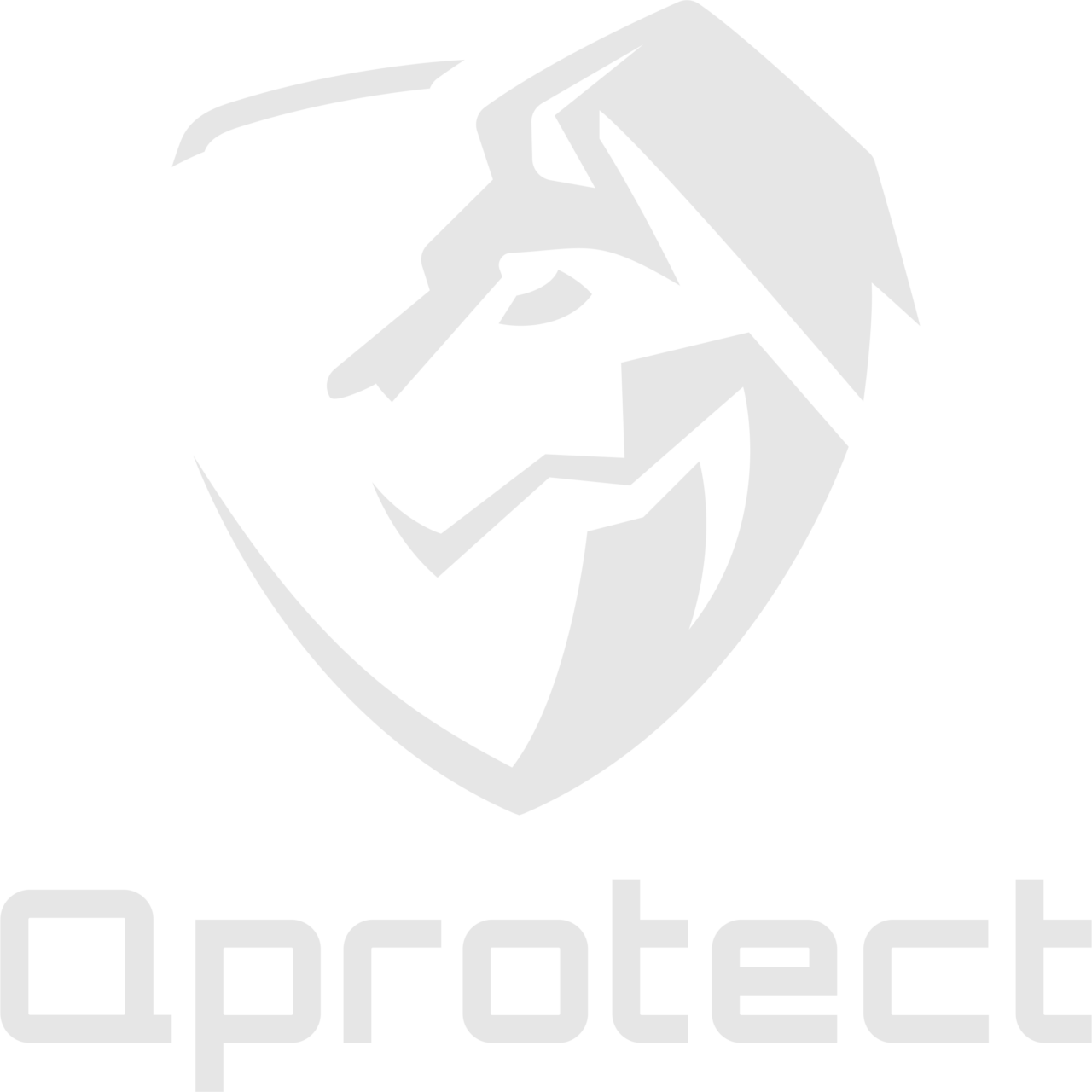 Maatwerktraining weerbaarheid toegespitst op jouw organisatie - Qprotect